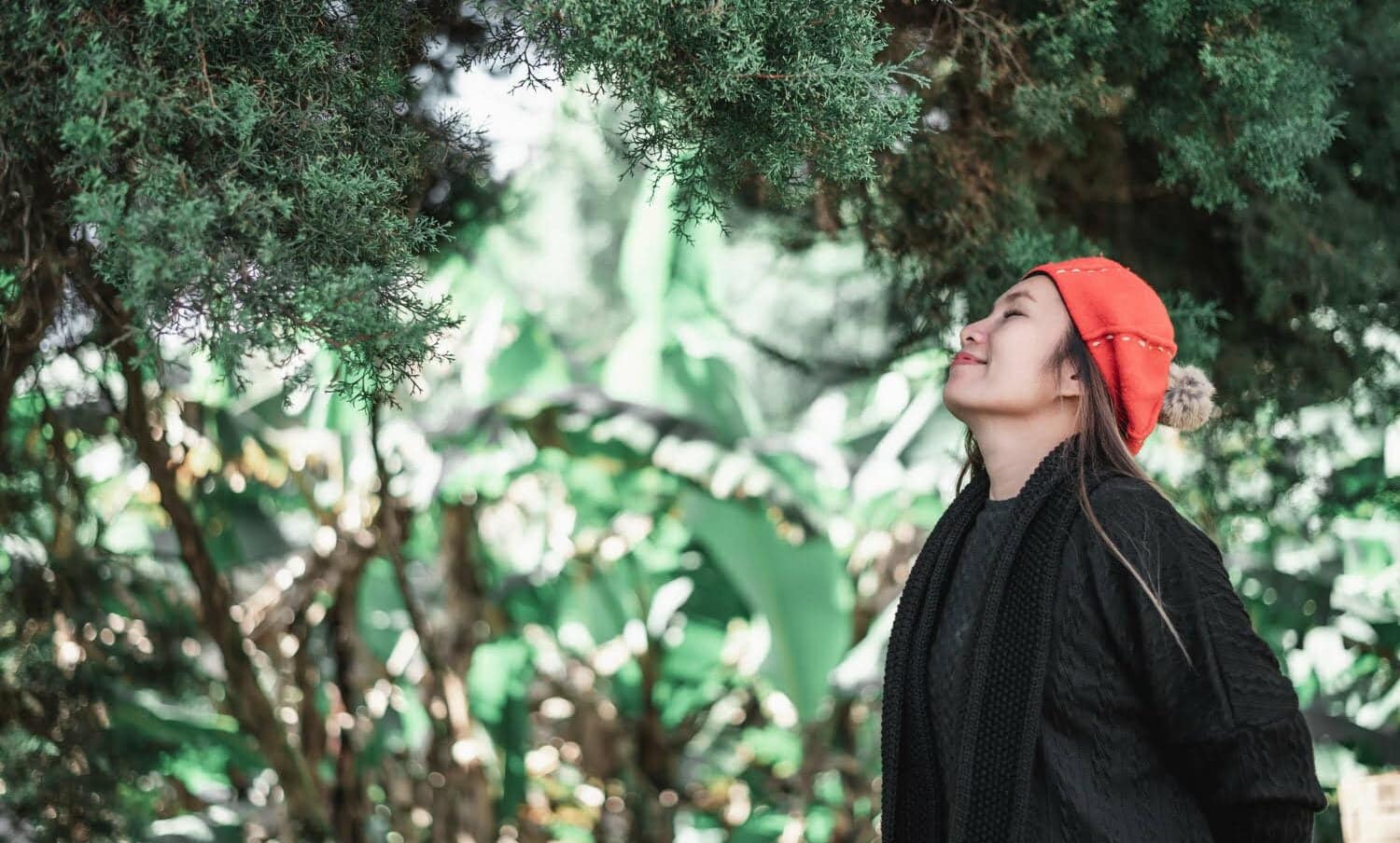 10 beneficios de respirar aire puro