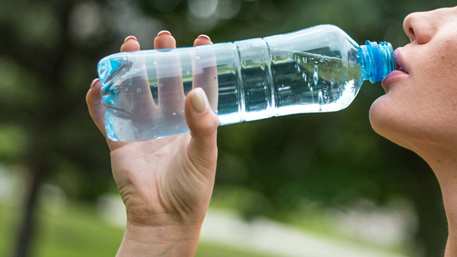 ¿Cuánta agua necesitas beber al día para vivir saludablemente?